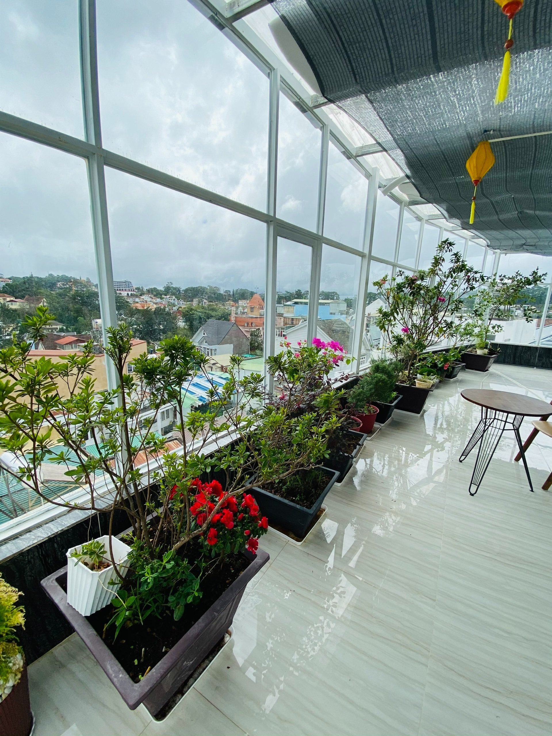 Khách sạn Peach Valley Đà Lạt (Peach Valley Hotel Dalat) - Chudu24