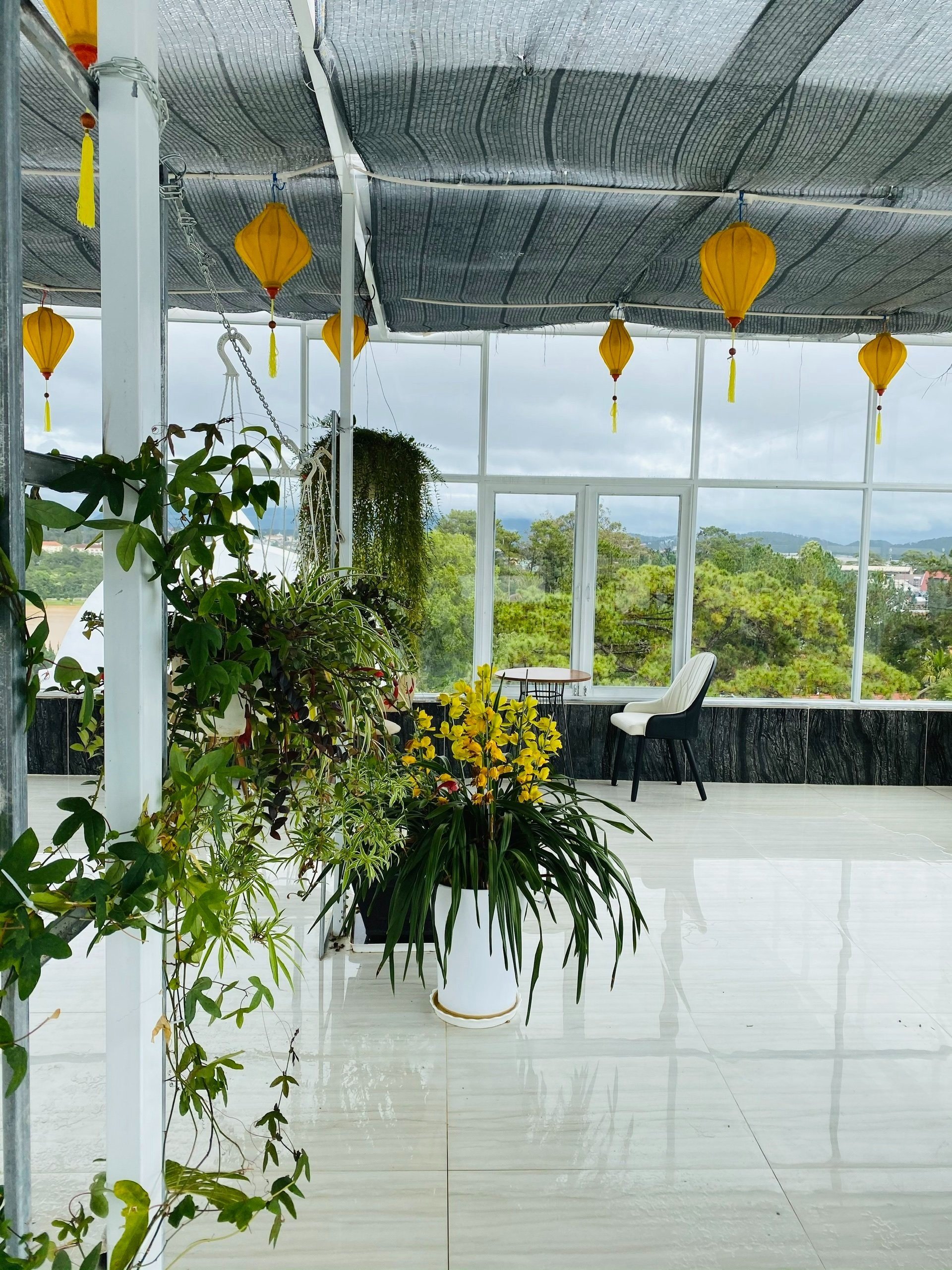 Khách sạn Peach Valley Đà Lạt (Peach Valley Hotel Dalat) - Chudu24